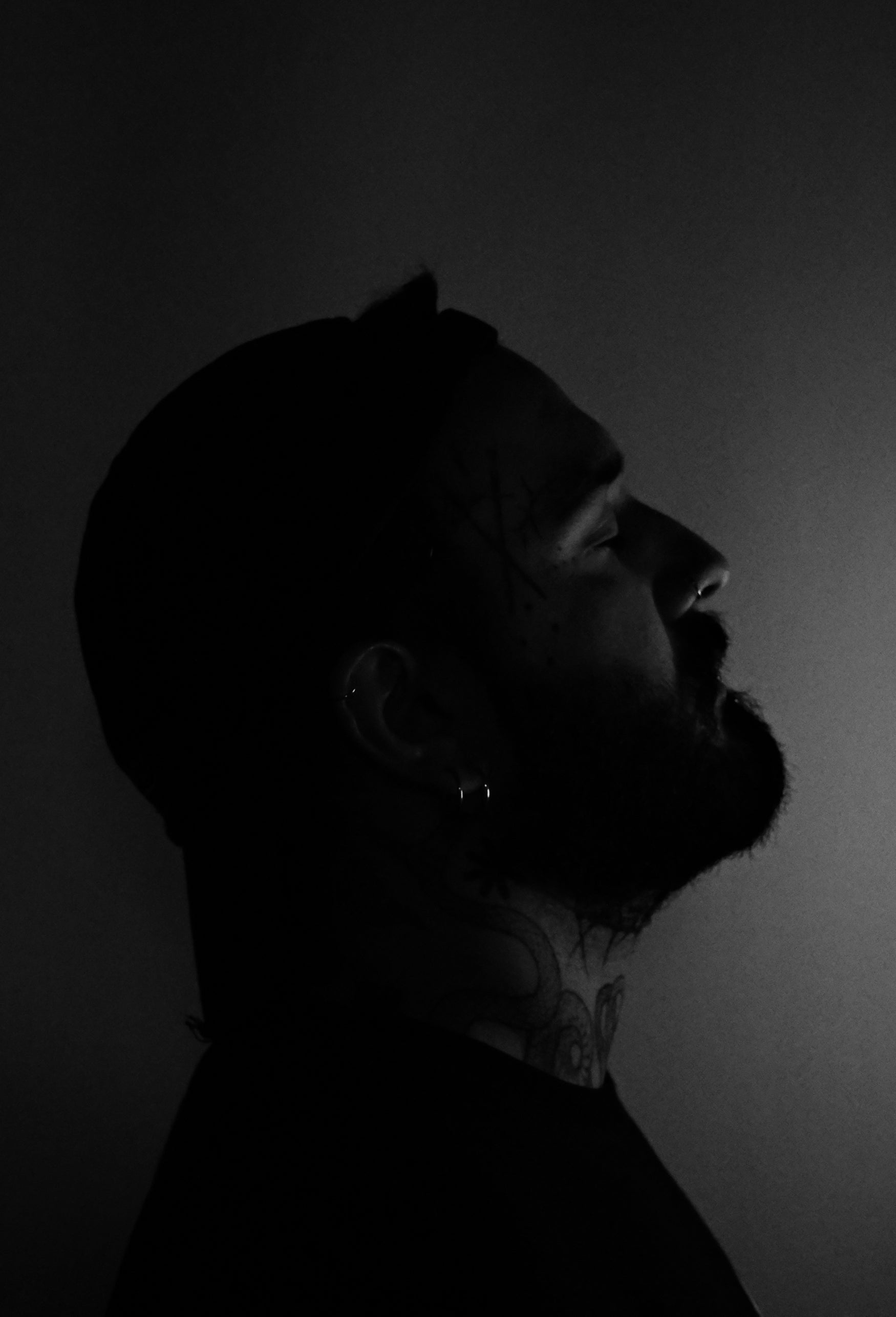 The White Whale Tattoo Society